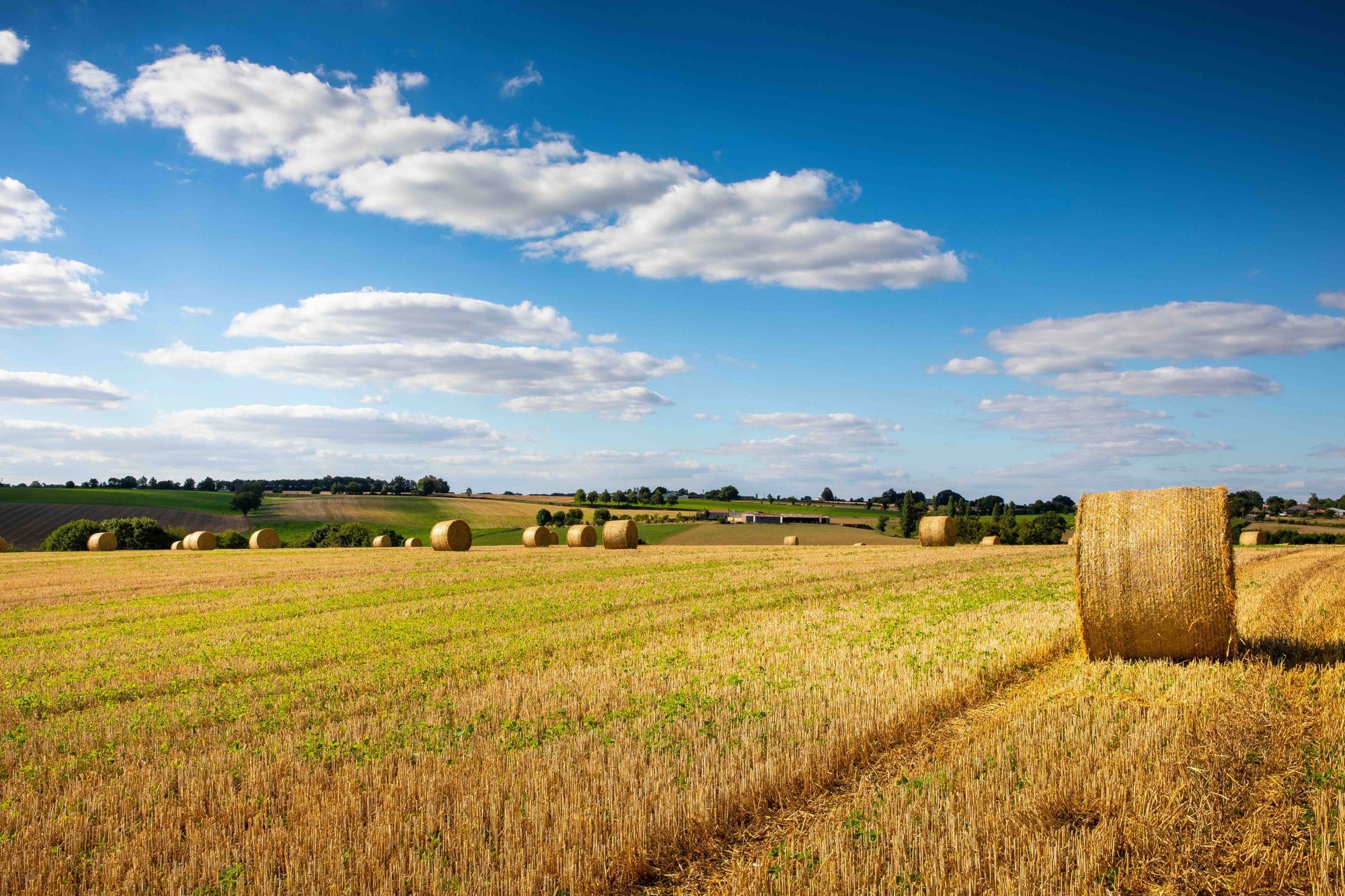 AbaData Products | Industry-Leading Energy Operations Software